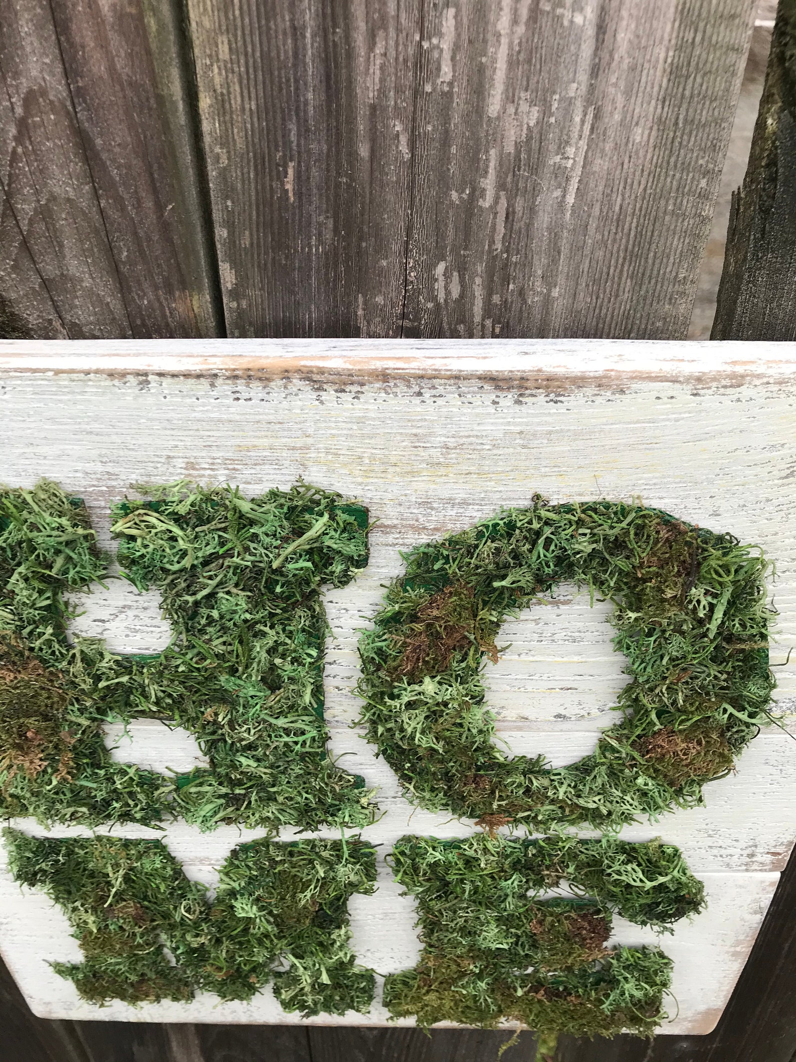 Moss Word Decor Moss Letter Art Home Word Decor Moss - Etsy
