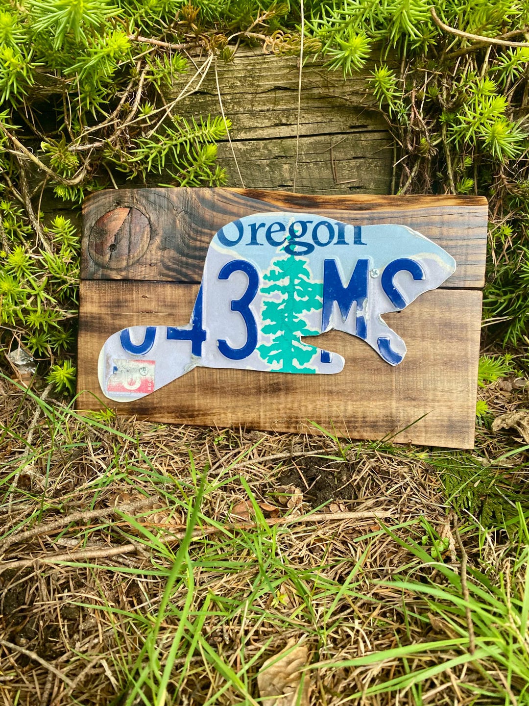 Oregon Beaver Wall Decor, Reclaimed License Plate Art, Burnt Wood Mount ...