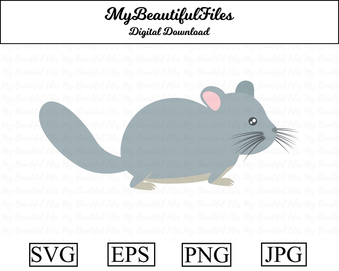 Chinchilla SVG PNG Digital Download Chinchilla File for | Etsy