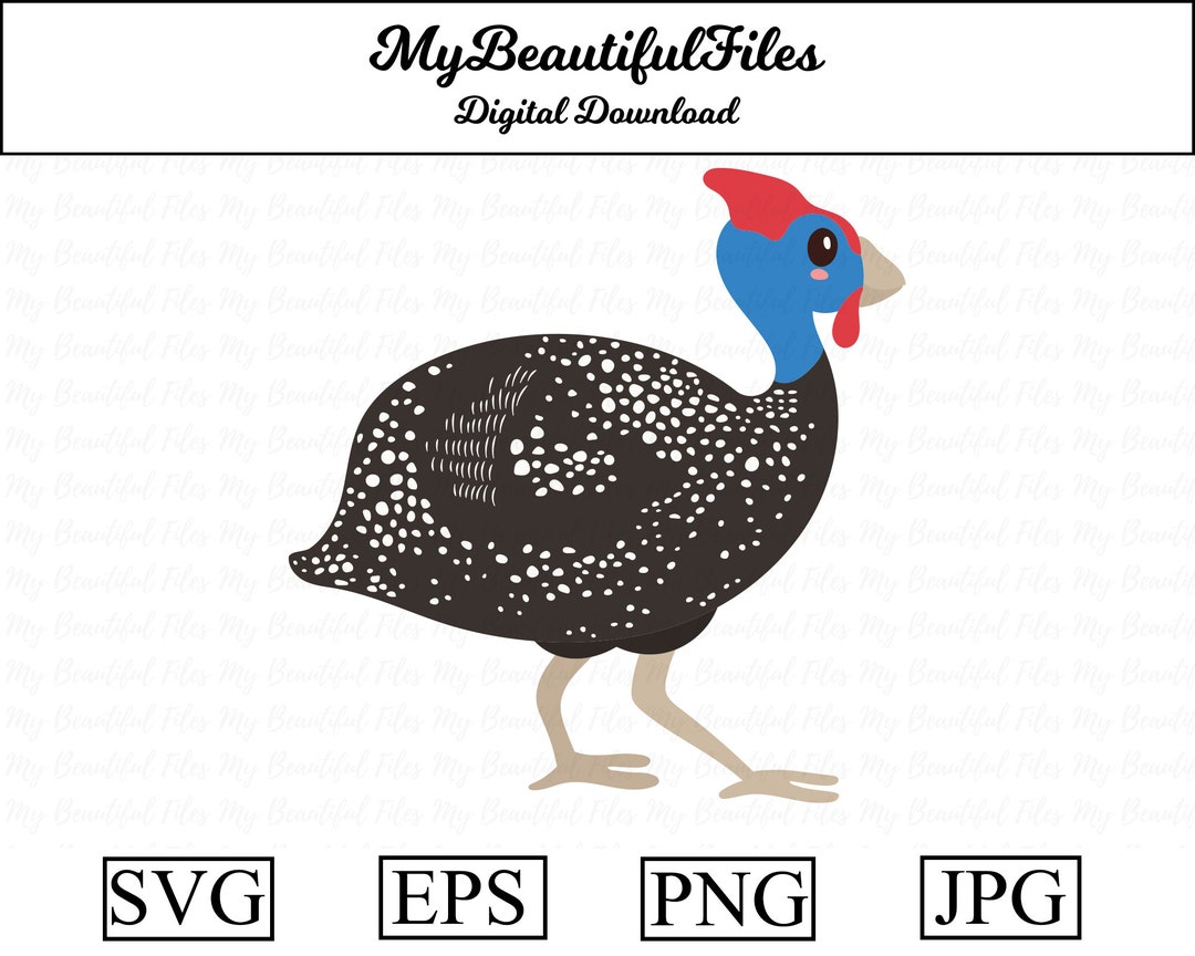 Guinea Fowl SVG,PNG Digital Download Cute Guinea Fowl File for ...