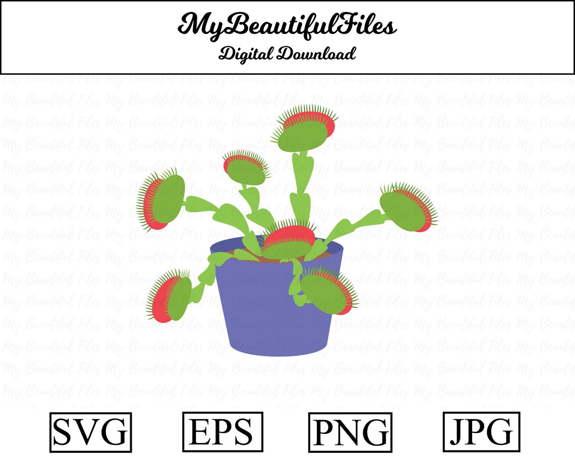 Venus Flytrap SVG PNG Digital Download Venus Flytrap File - Etsy