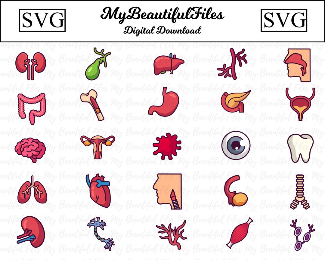 Human Body Bundle SVG Digital Download Organs Bundle Icon Files for ...