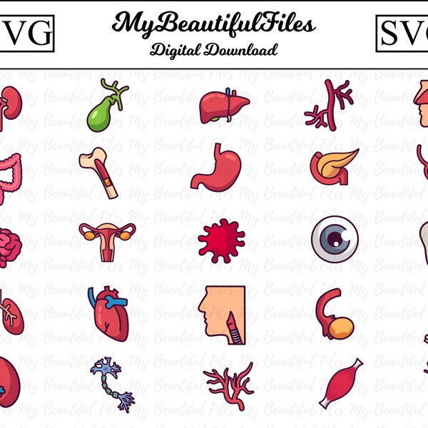 Human Body Organs Svg - Etsy