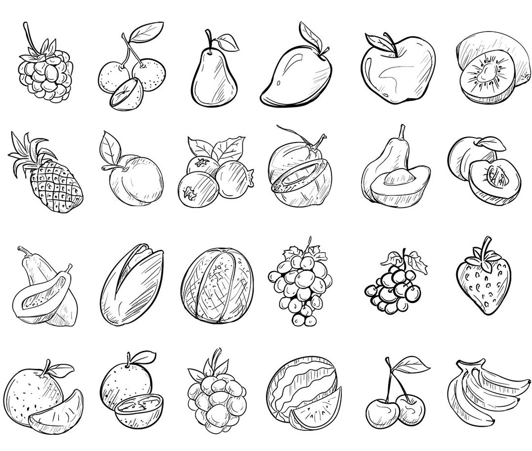 Hand Drawn Fruits SVG and PNG Digital Download Fruits File for ...