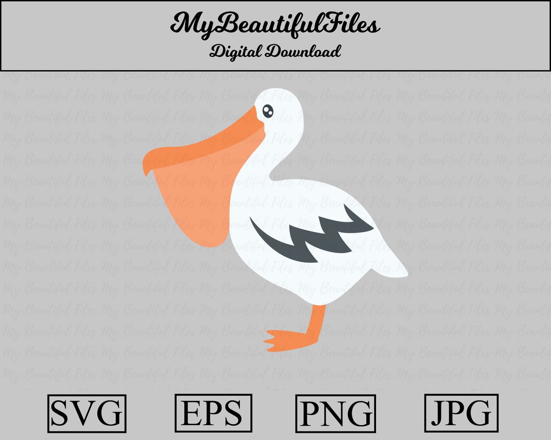 Pelican SVG,PNG Digital Download Cute Pelican File for Printable Art ...