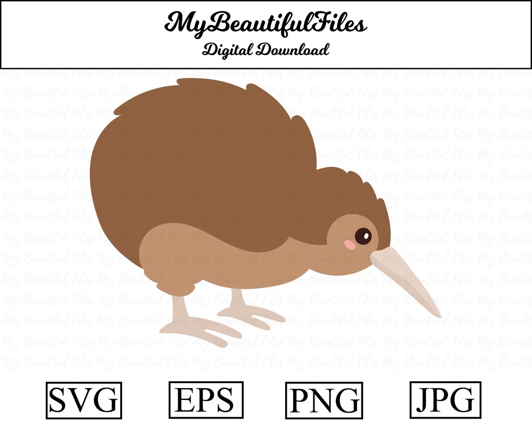 Kiwi SVG,PNG Digital Download Cute Kiwi File for Printable Art, Planner ...