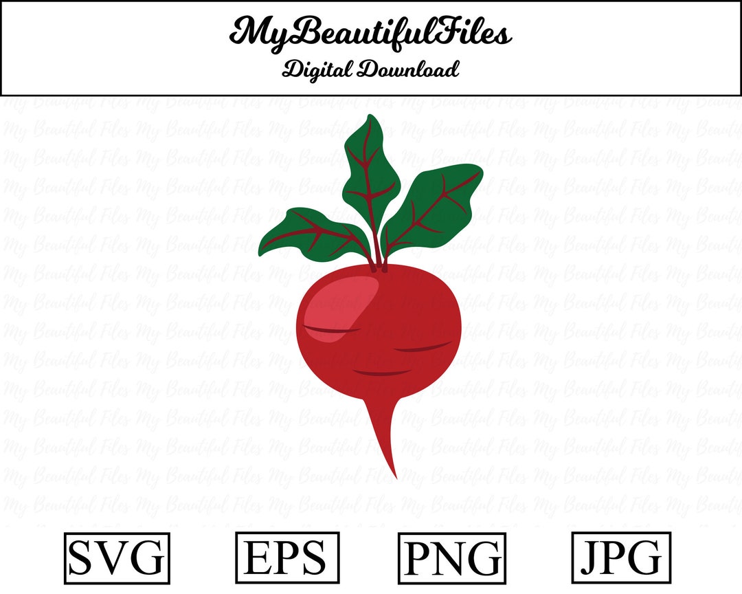 Beet SVG,PNG Digital Download Beet File for Printable Art, Planner ...