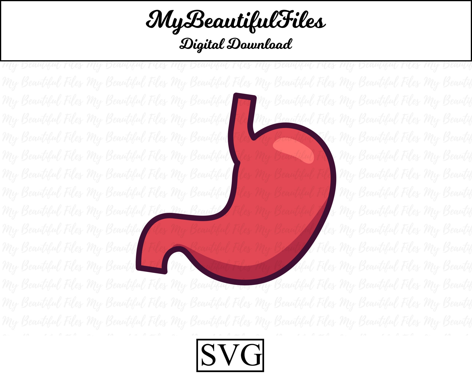 Stomach SVG Descarga digital Archivo de estómago para arte - Etsy España