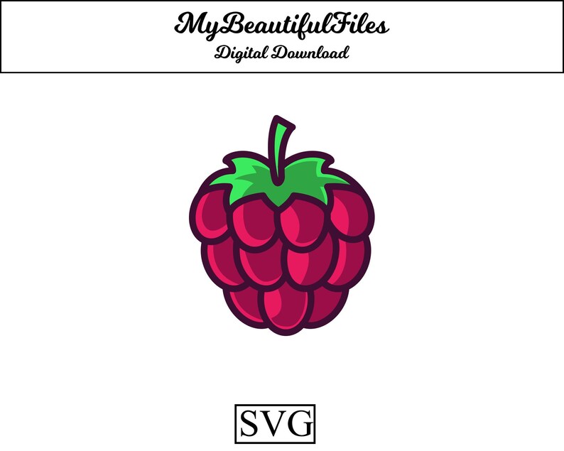 Raspberry SVG Digital Download Raspberry File for - Etsy