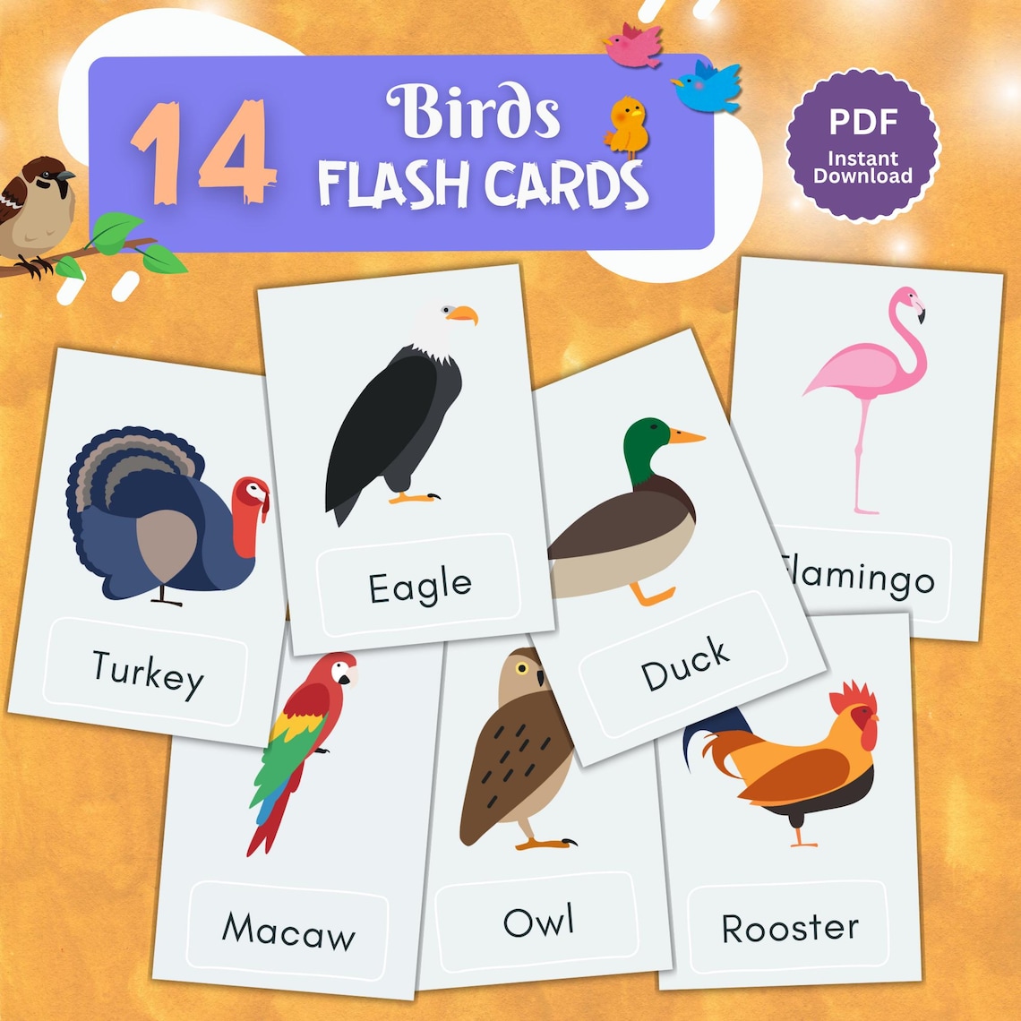 Bird-themed Flashcards for Kids - 14 Printable Cards for Ages 4-6 ...