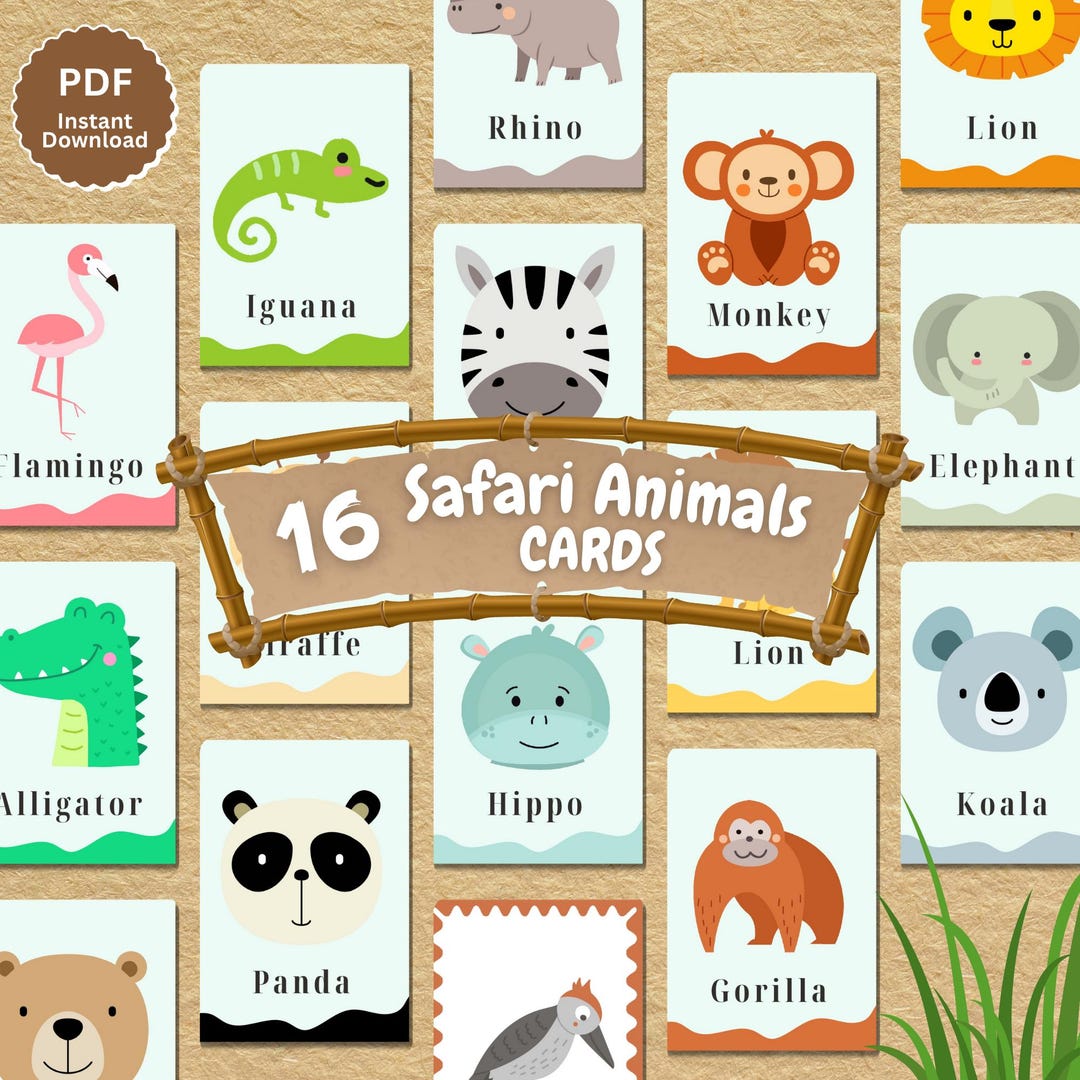 Safari Adventure - 16 Engaging 5x7 Flashcards for Children Ages 3-5 - Etsy