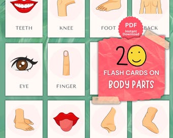 Body Parts Flashcards - 19 Printable Cards for Early Learning - Etsy