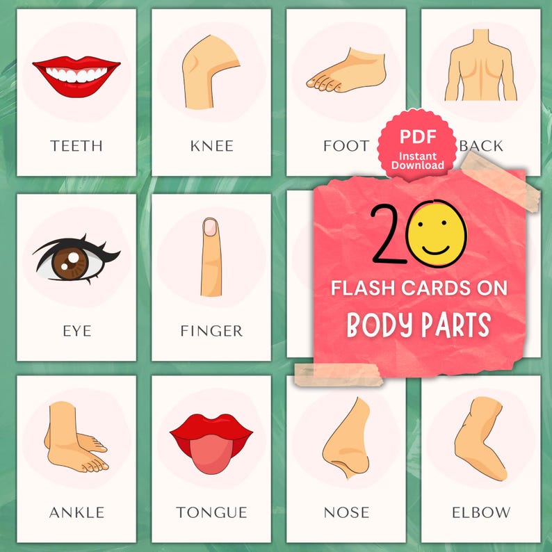 Body Parts Flashcards - 20 Printable Cards for Early Learning - Etsy