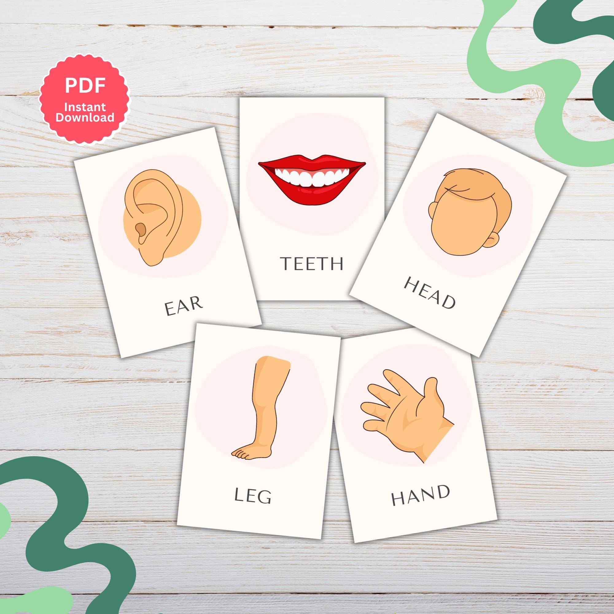 Body Parts Flashcards - 20 Printable Cards for Early Learning - Etsy