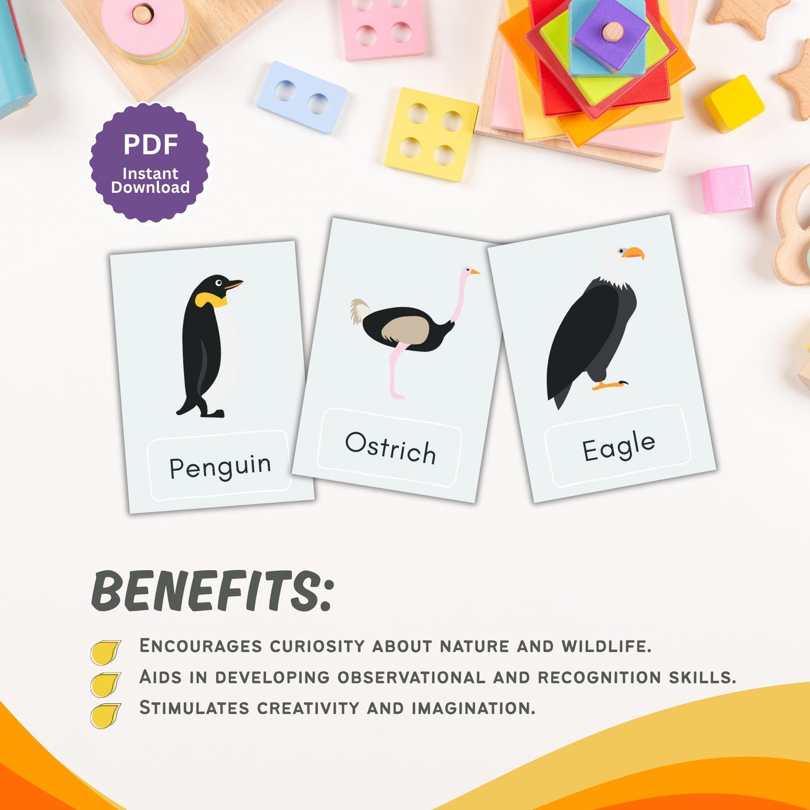 Bird-themed Flashcards for Kids - 14 Printable Cards for Ages 4-6 ...