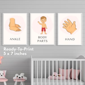 Body Parts Flashcards - 20 Printable Cards for Early Learning - Etsy