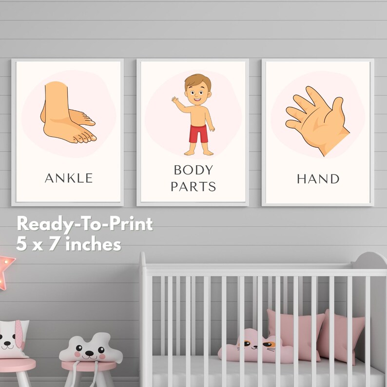 Body Parts Flashcards - 20 Printable Cards for Early Learning - Etsy