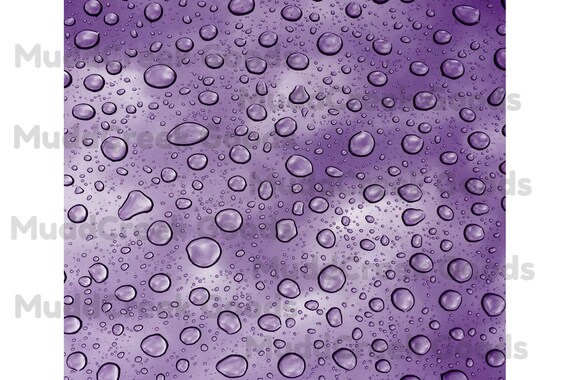 Tumbler Template Succulents with Waterdrops Background PNG Sublimation ...