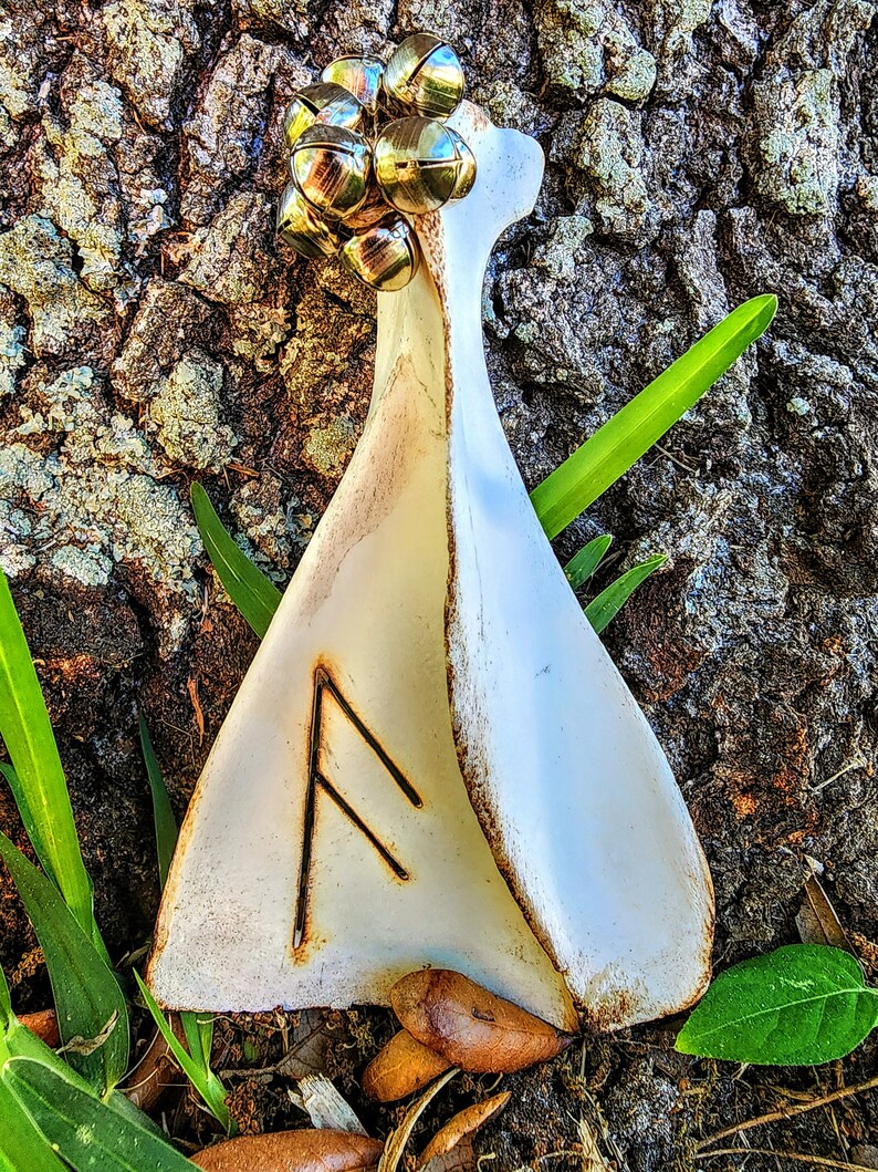 Ansuz Rune Ritual Bone Seidr/vitki/wyrd/volva - Etsy