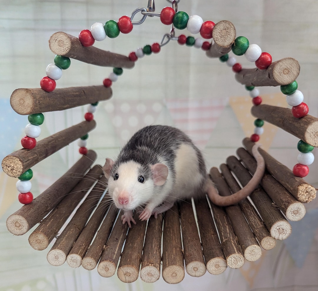 Willow Hanging Tunnel: Rodent Enrichment Toy for Rats, Hamsters - Etsy