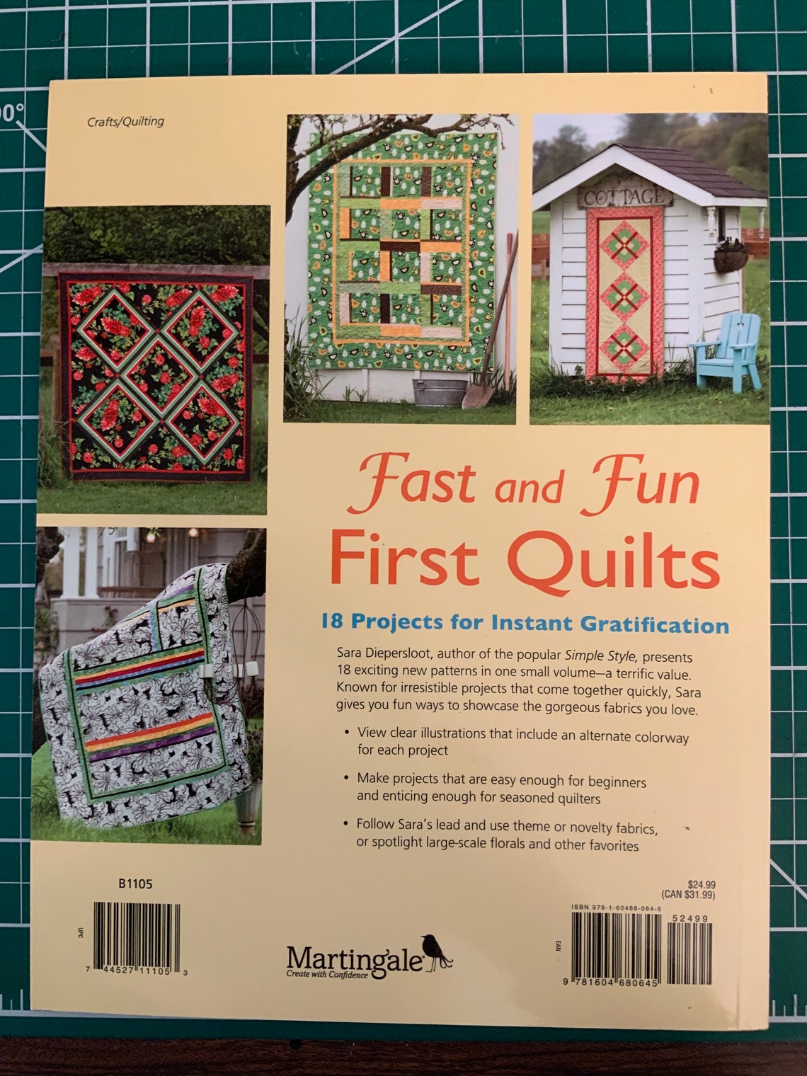 Fast and Fun First Quilts 18 Projects for Instant Gratification by Sara ...