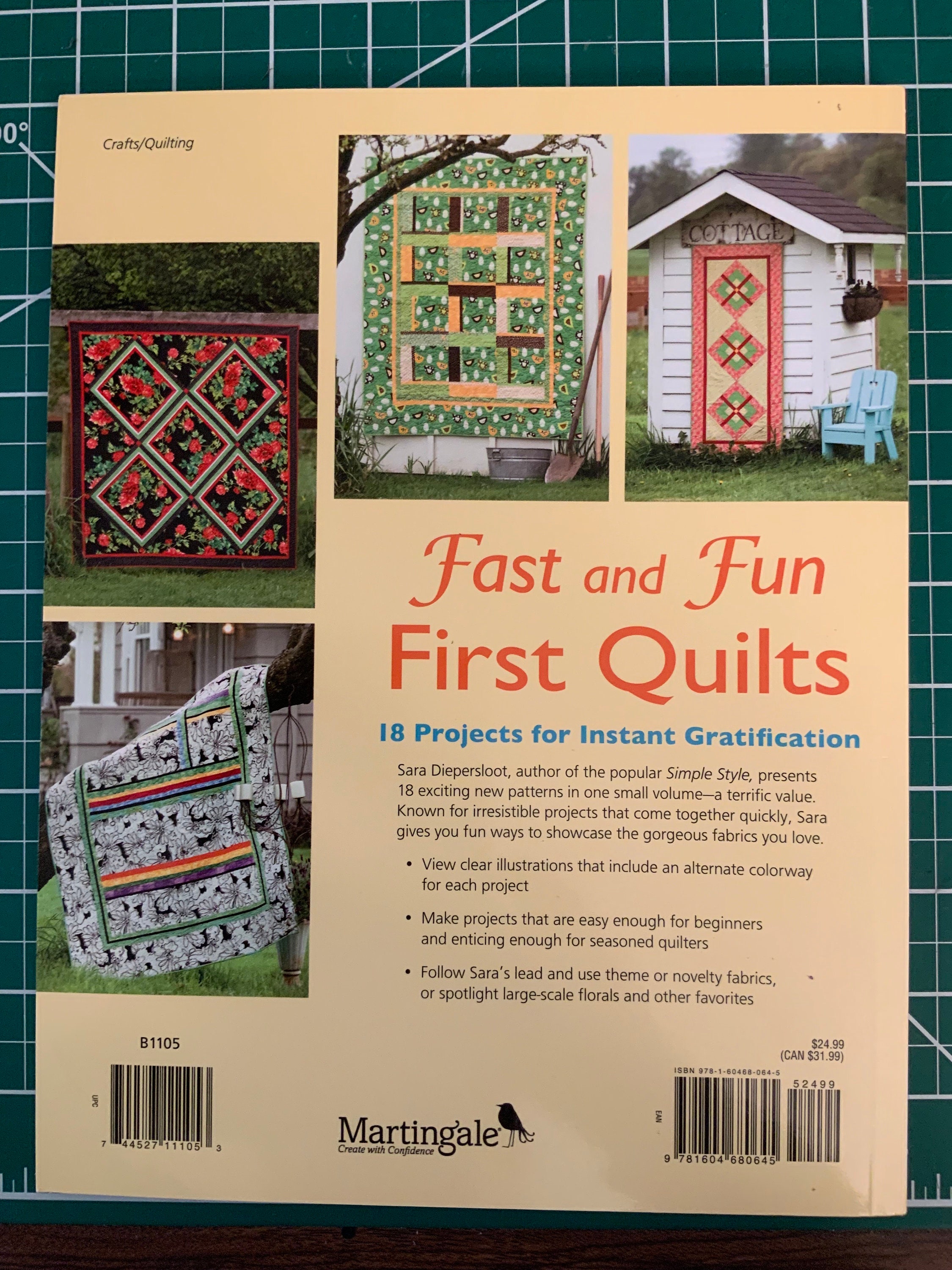 Fast and Fun First Quilts 18 Projects for Instant Gratification by Sara ...