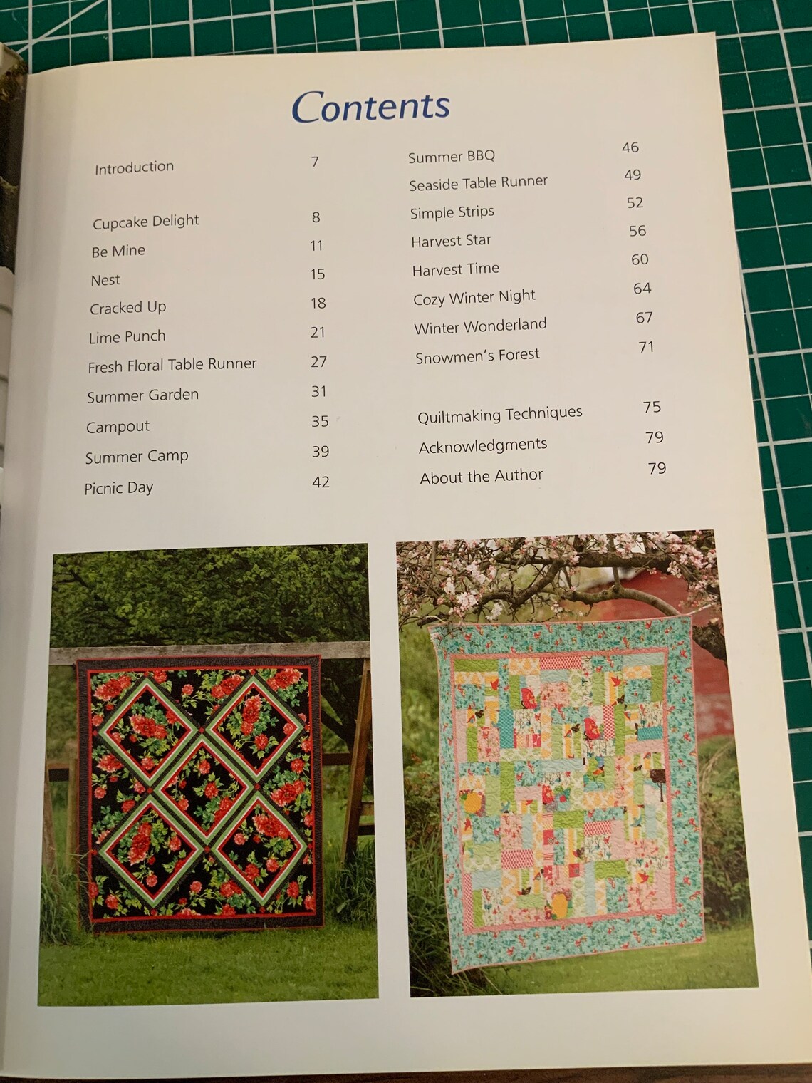 Fast and Fun First Quilts 18 Projects for Instant Gratification by Sara ...