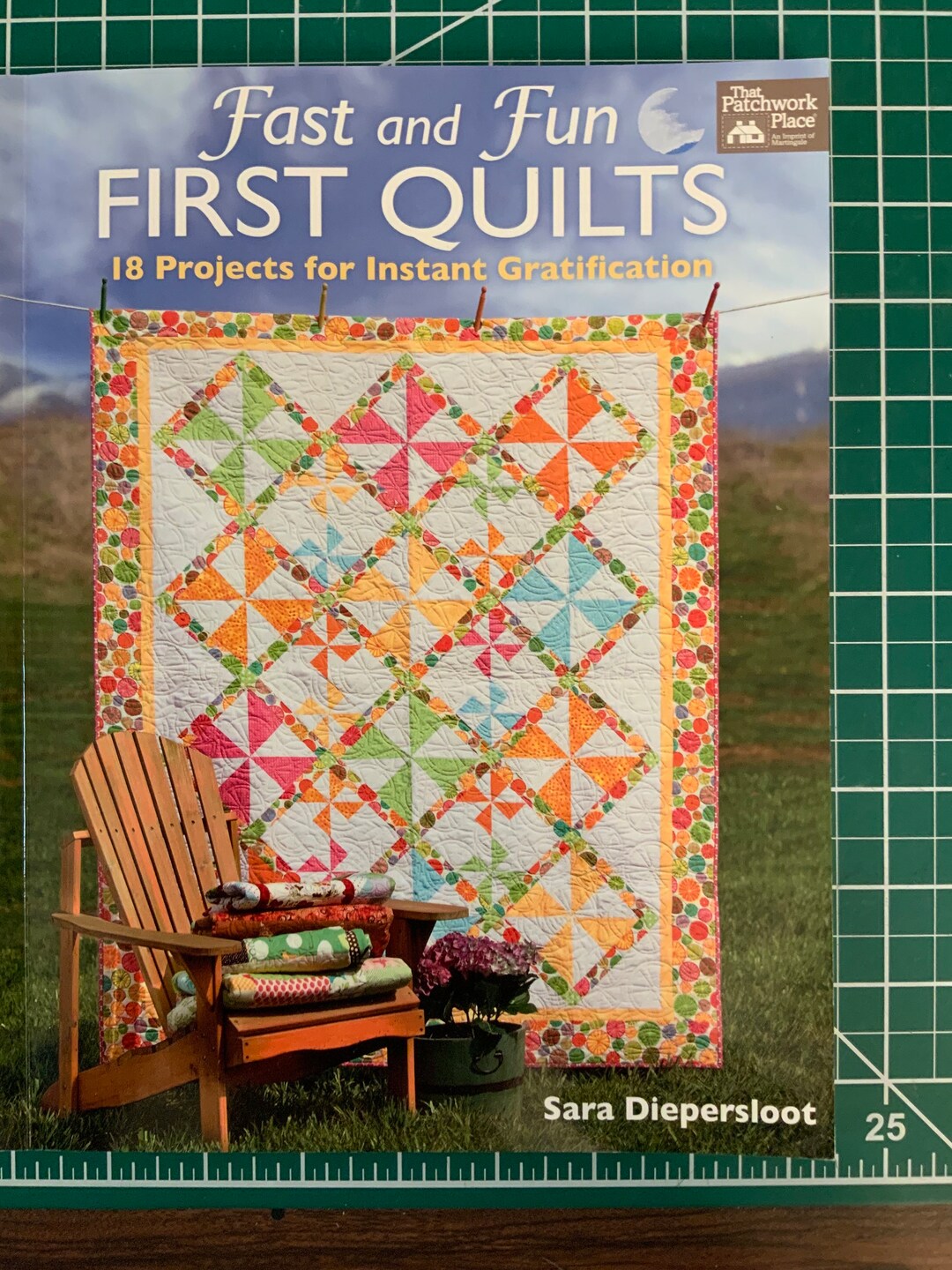 Fast and Fun First Quilts 18 Projects for Instant Gratification by Sara ...