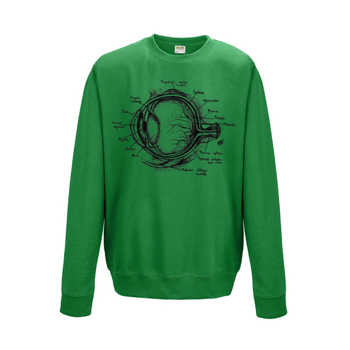 Anatomical Eye Unisex Cosy Jumper Ophthalmology Gift Human Anatomy ...