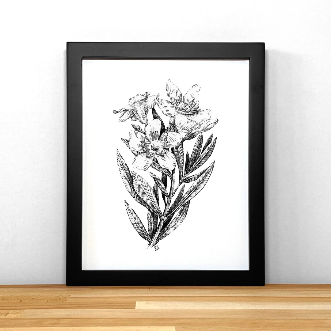 Oleander, Print of Black & White Ink Illustration - Etsy