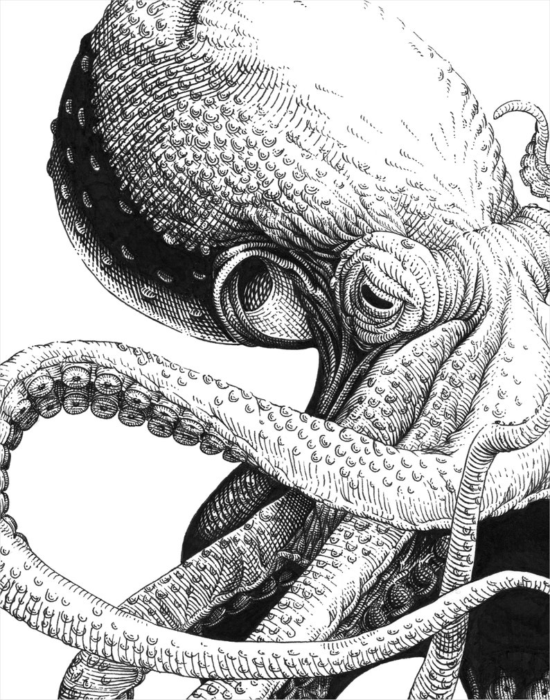 Octopus Solving Rubik's Cube Print of Original Ink - Etsy