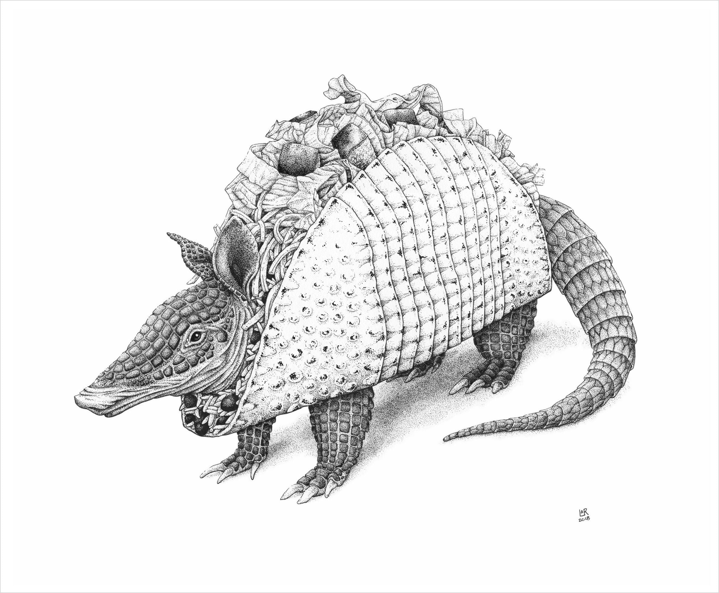 Tacodillo, Armadillo Taco, Print of Original Ink Drawing - Etsy