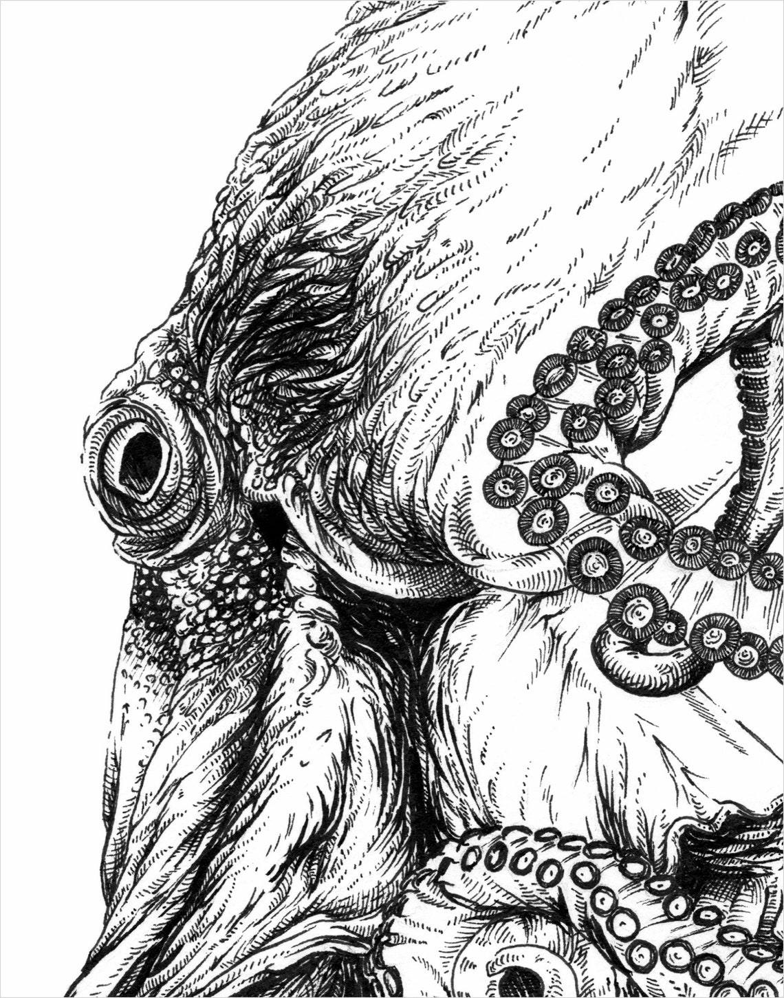 Octopus, Print of Black & White Ink Illustration - Etsy