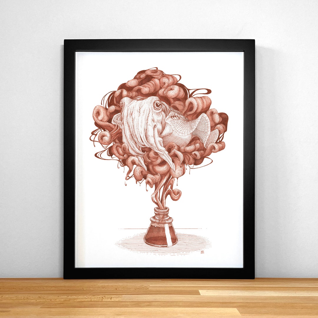 Sepia Ink Cuddlefish, Print of Ink & Watercolor Illustration - Etsy