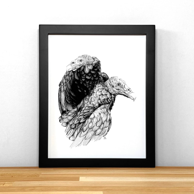 Turkey Vulture Print - Etsy