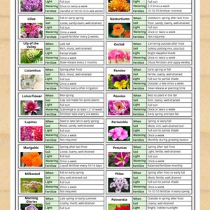 Printable Flower Planting Guide - 84 Beautiful Flower Photos - Easy-to ...