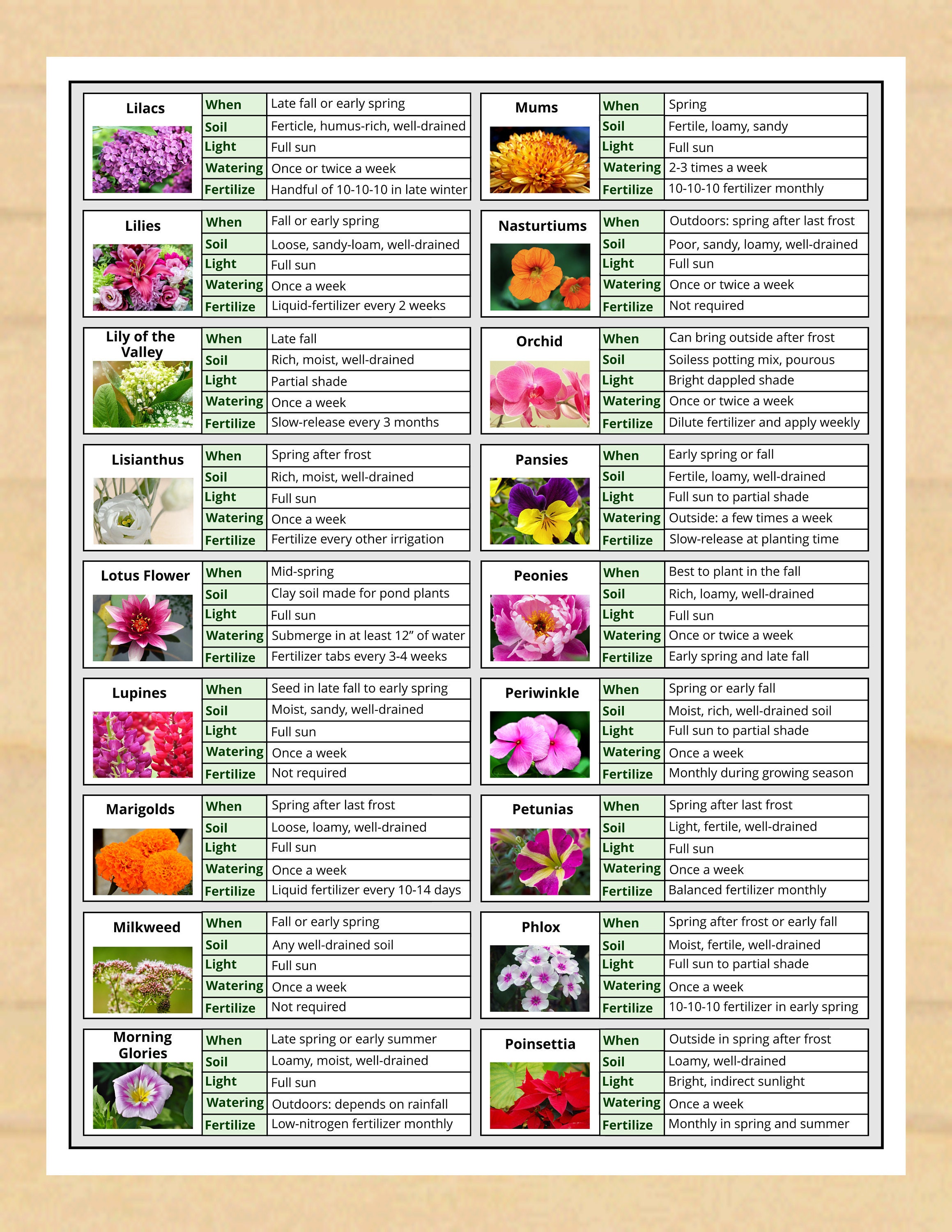 Printable Flower Planting Guide - 84 Beautiful Flower Photos - Easy-to ...