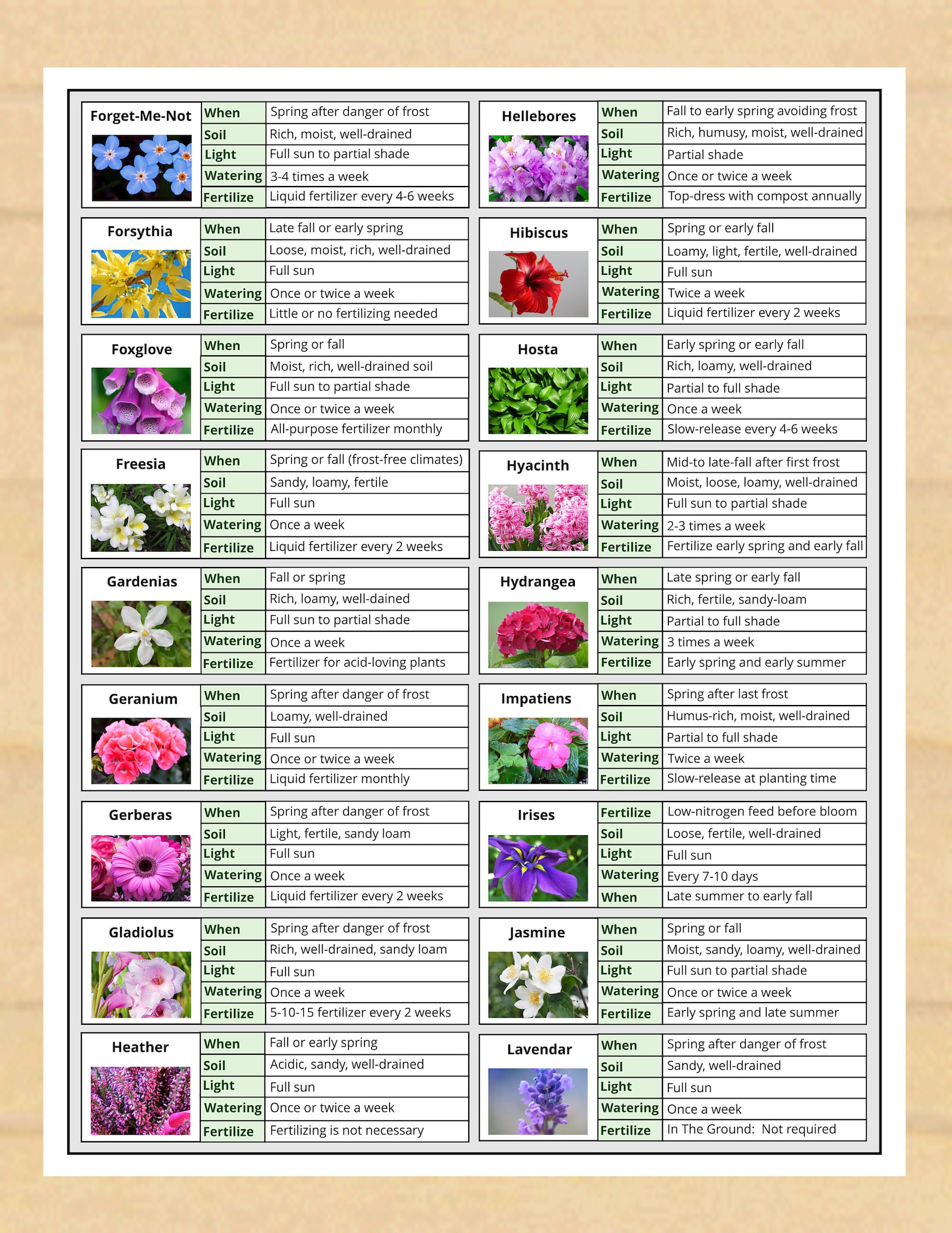Printable Flower Planting Guide - 84 Beautiful Flower Photos - Easy-to-read Plant Growing ...
