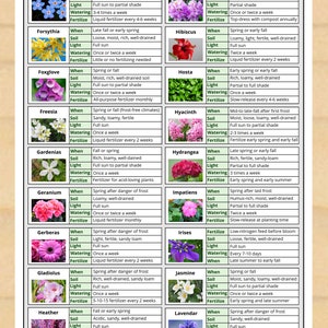 Printable Flower Planting Guide - 84 Beautiful Flower Photos - Easy-to ...