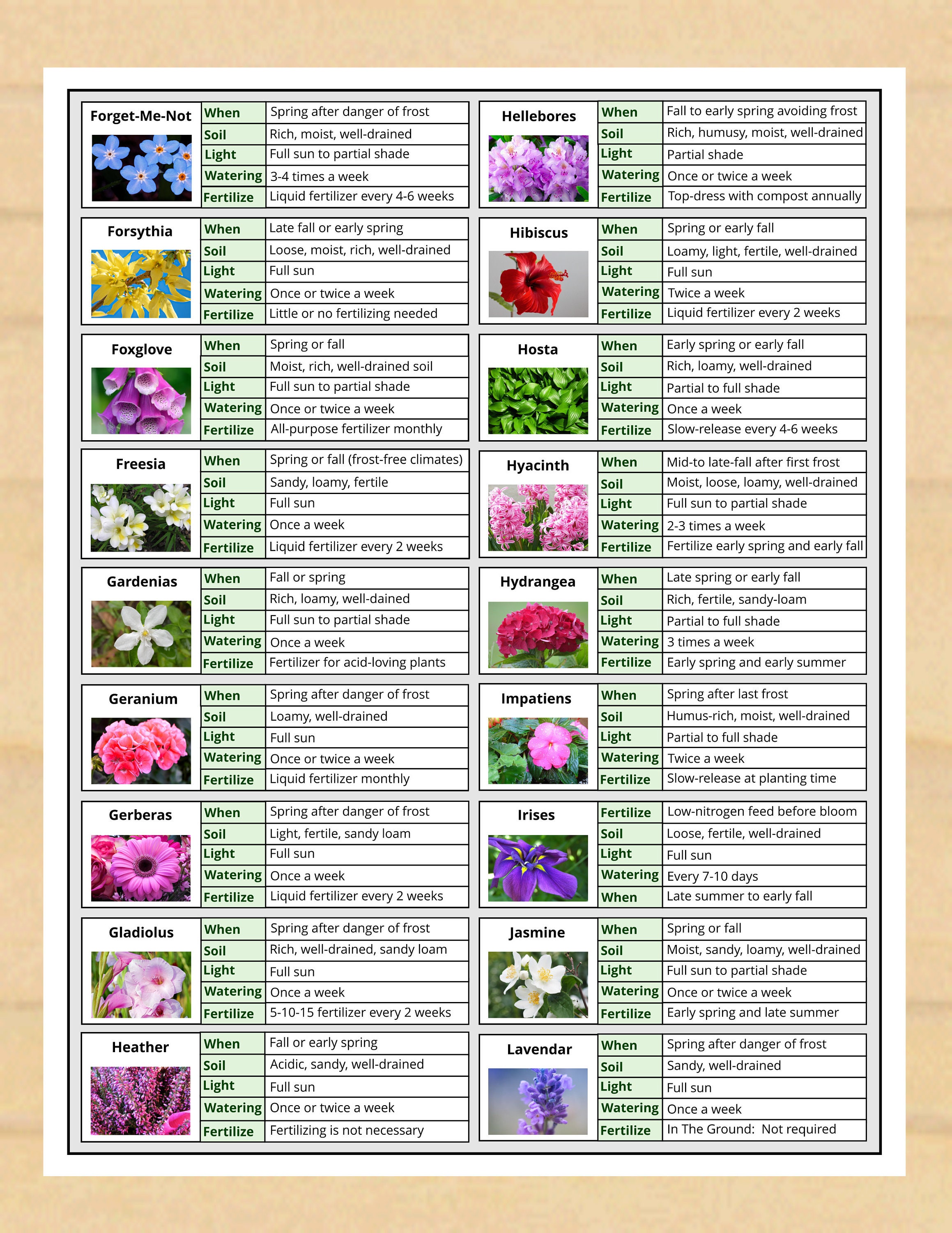 Printable Flower Planting Guide - 84 Beautiful Flower Photos - Easy-to ...