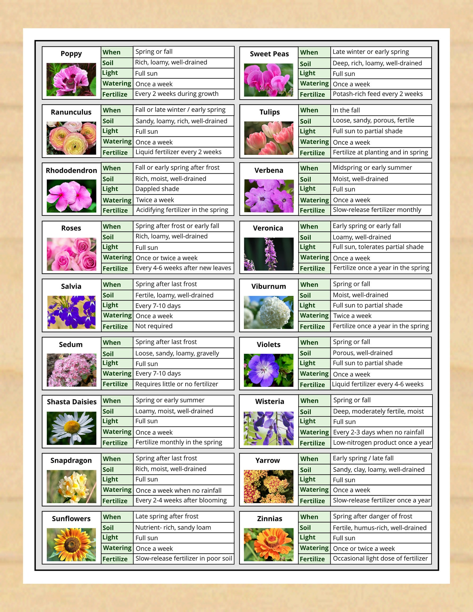 Printable Flower Planting Guide - 84 Beautiful Flower Photos - Easy-to ...