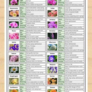 Printable Flower Planting Guide - 84 Beautiful Flower Photos - Easy-to ...