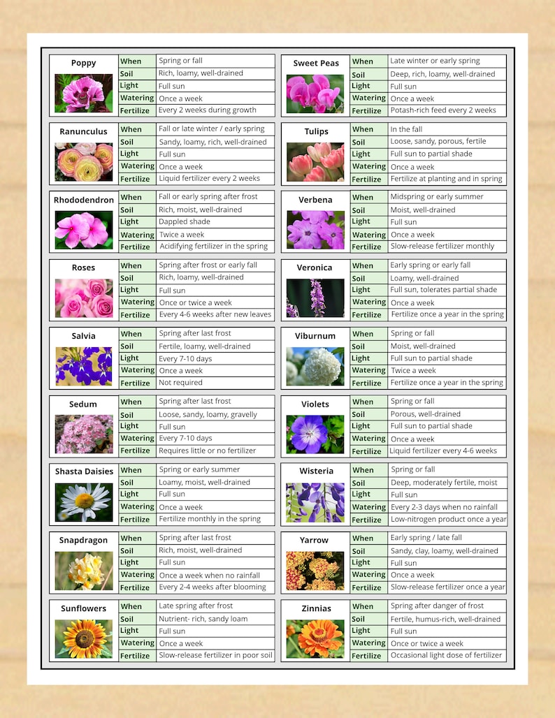 Printable Flower Planting Guide - 84 Beautiful Flower Photos - Easy-to-read Plant Growing ...