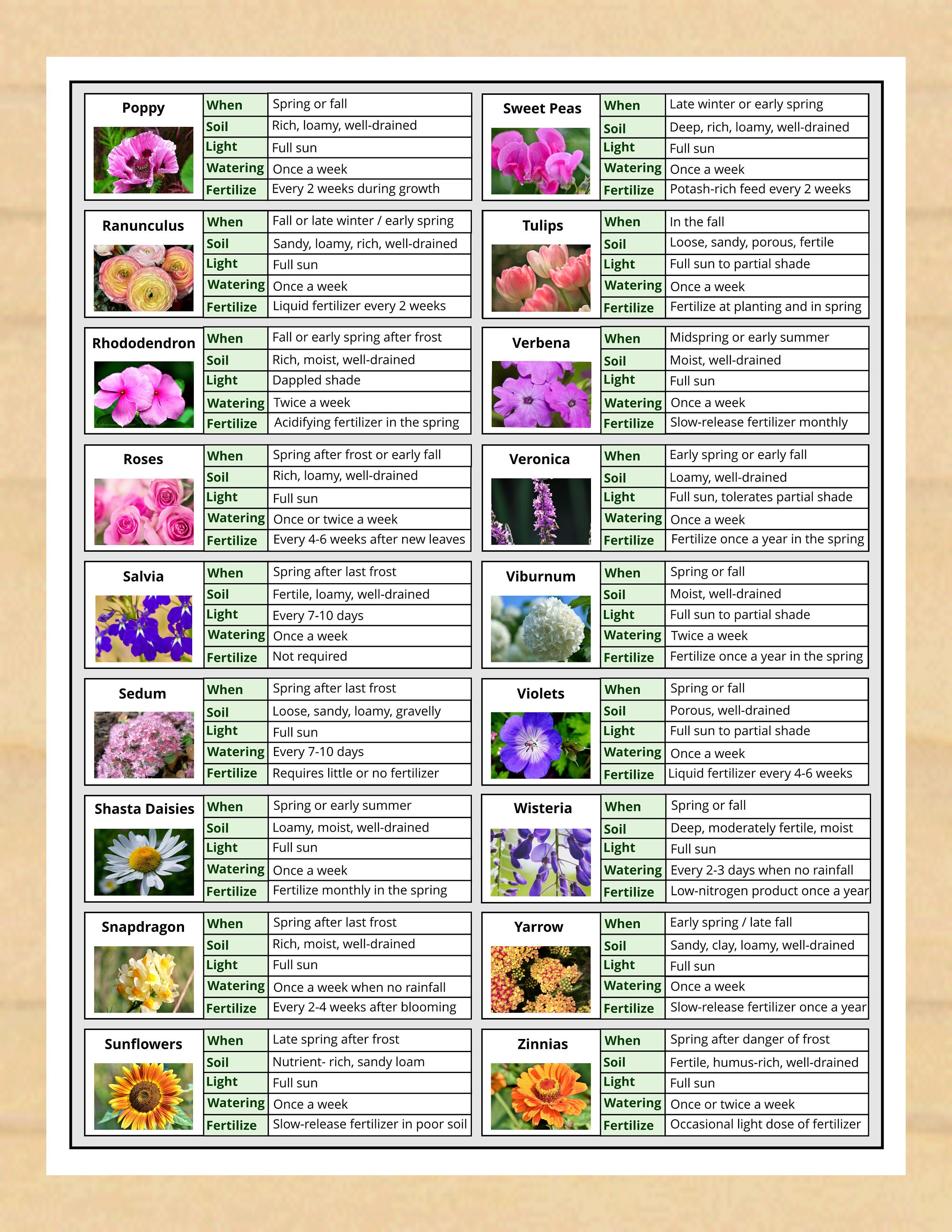 Printable Flower Planting Guide - 84 Beautiful Flower Photos - Easy-to ...