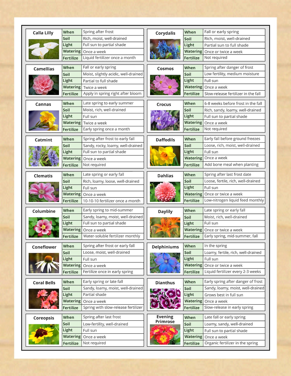 Printable Flower Planting Guide - 84 Beautiful Flower Photos - Easy-to ...