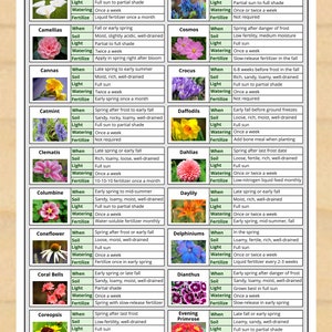 Printable Flower Planting Guide - 84 Beautiful Flower Photos - Easy-to ...
