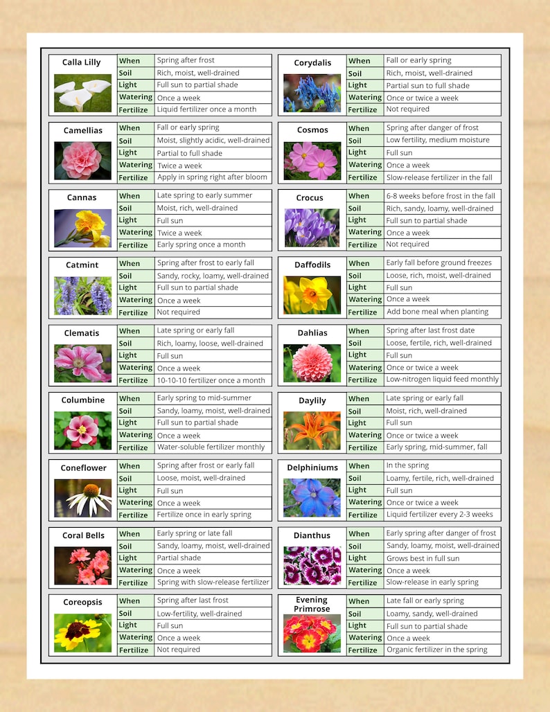 Printable Flower Planting Guide - 84 Beautiful Flower Photos - Easy-to ...