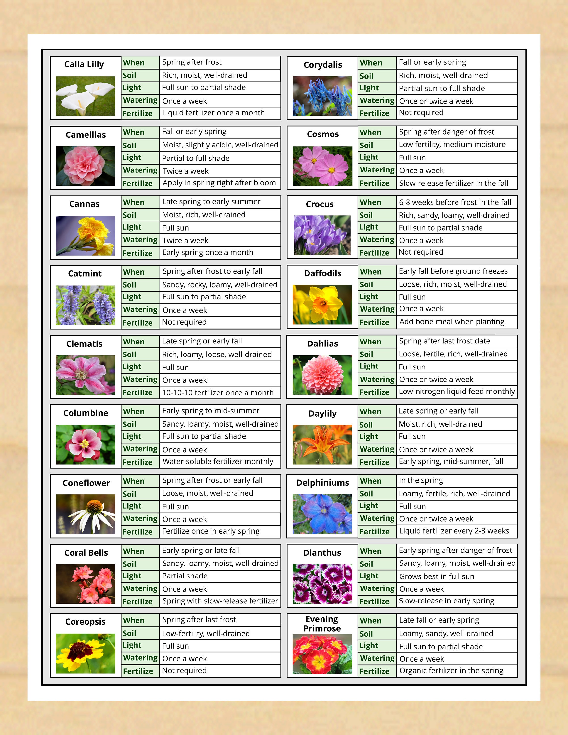 Printable Flower Planting Guide - 84 Beautiful Flower Photos - Easy-to ...