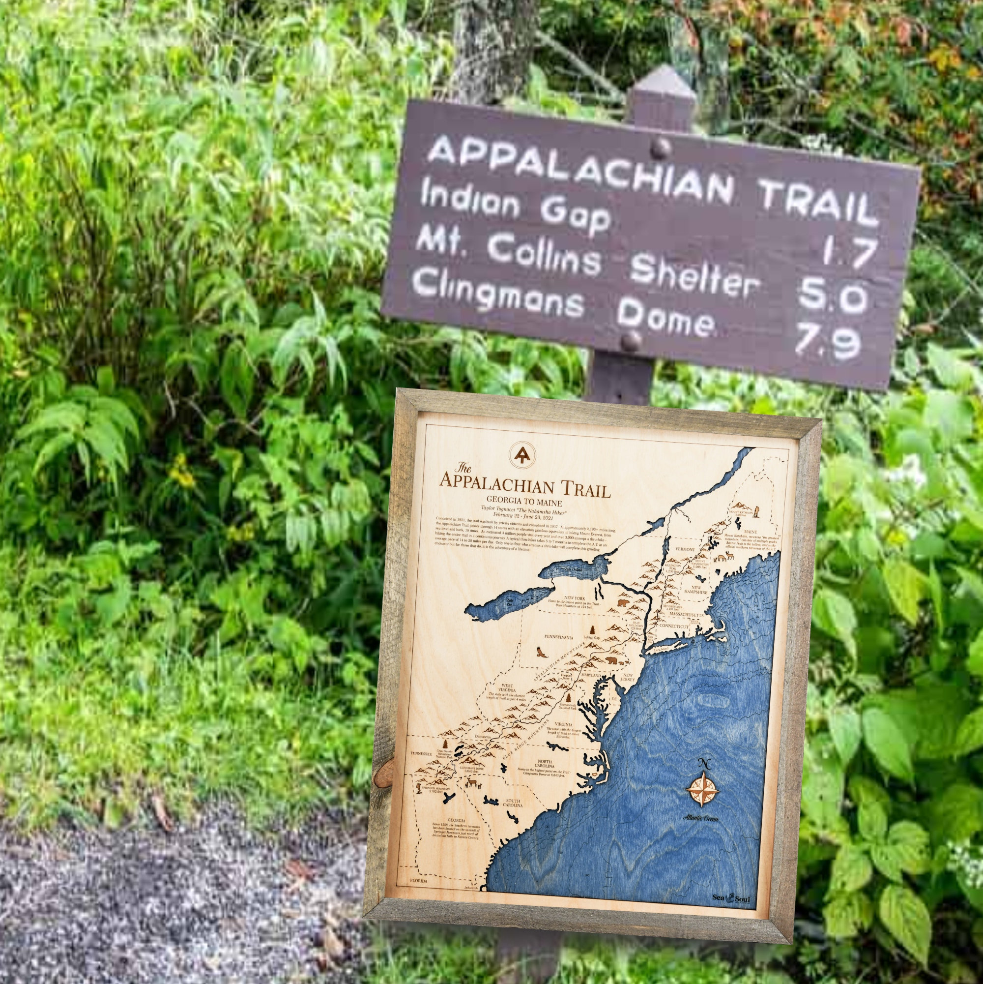 Appalachian Trail Thru-hike Personalized Wall Art, Backpacker or Hiker ...