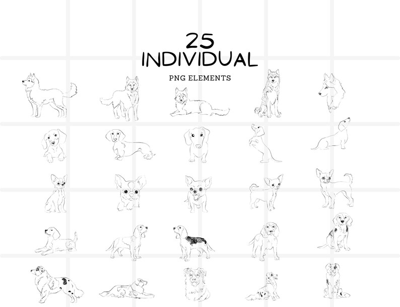 Huge Dog Breed Clip Art Bundle, Hand-drawn Puppy Transparent PNG ...
